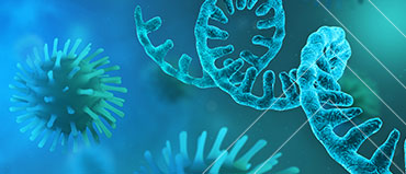 mRNA Synthesis & Manufacturing Market Growth, Drivers, and Opportunities