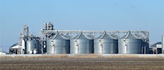 Grain Protectants Market by Control Method, Physical, Target Pest ...