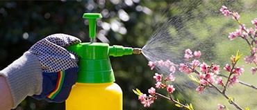 Foliar Spray Market Size, Share, and Forecast | MarketsandMarkets