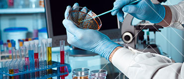 Clinical Microbiology Market Size & Growth Forecast to 2030