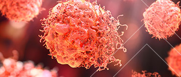 Cancer Vaccines Market Report 2024-2032, By Type, Technology, and Geo