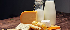 Cheese Ingredients Market Growth | Analysis, Trends and Forecasts ...