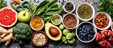 Non-Meat Ingredients Market Report 2024-2029 [456 Pages & 631 Tables]