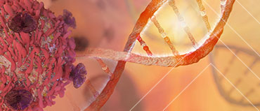 Biosimulation Market Growth, Drivers, and Opportunities