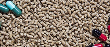 Probiotics in Animal Feed Market: Trends, Opportunities, and Forecasts ...