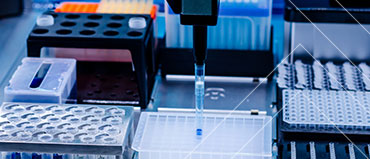 PCR Technologies Market Growth, Drivers, and Opportunities