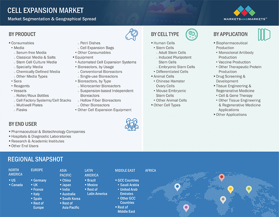 Cell Expansion Market Size, Share, Trends and Revenue Forecast [Latest]