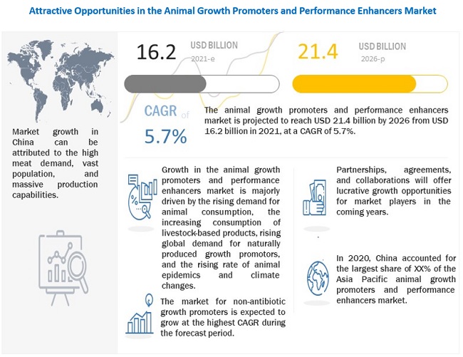 Animal Growth Promoters Market - Forecast to 2026 | By Type & Animal ...