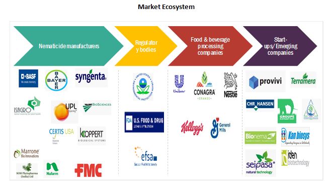 Biofertilizers Market Industry Trends, Opportunities, & Statistics ...