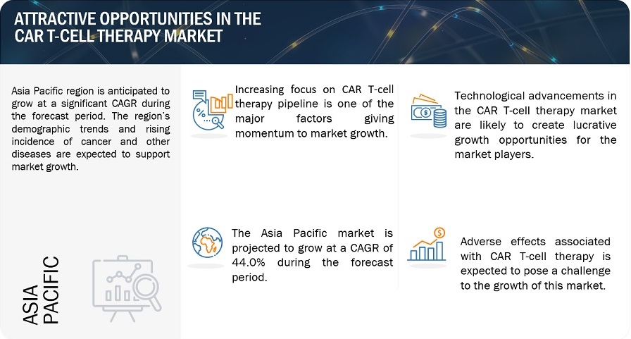 CAR T-cell Therapy Market Growth, Drivers, and Opportunities