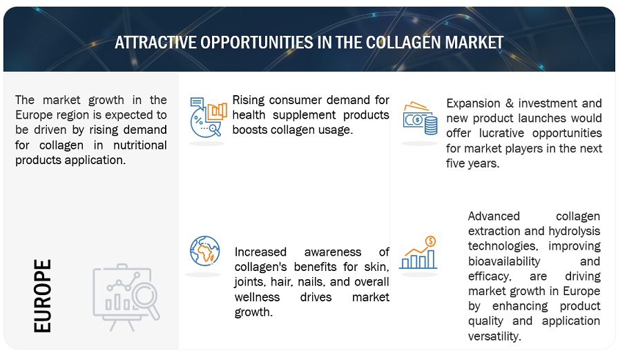 Collagen Market Size & Share | Forecasts Report and Trend Analysis