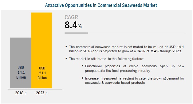 Commercial Seaweeds Market | Size, Share, Trends and Forecast to 2023 ...