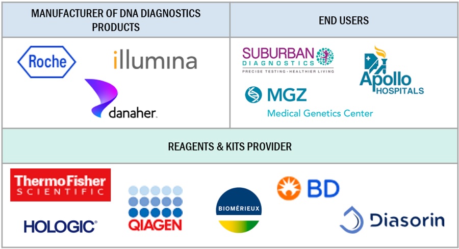 DNA Diagnostics Market Growth, Drivers, and Opportunities