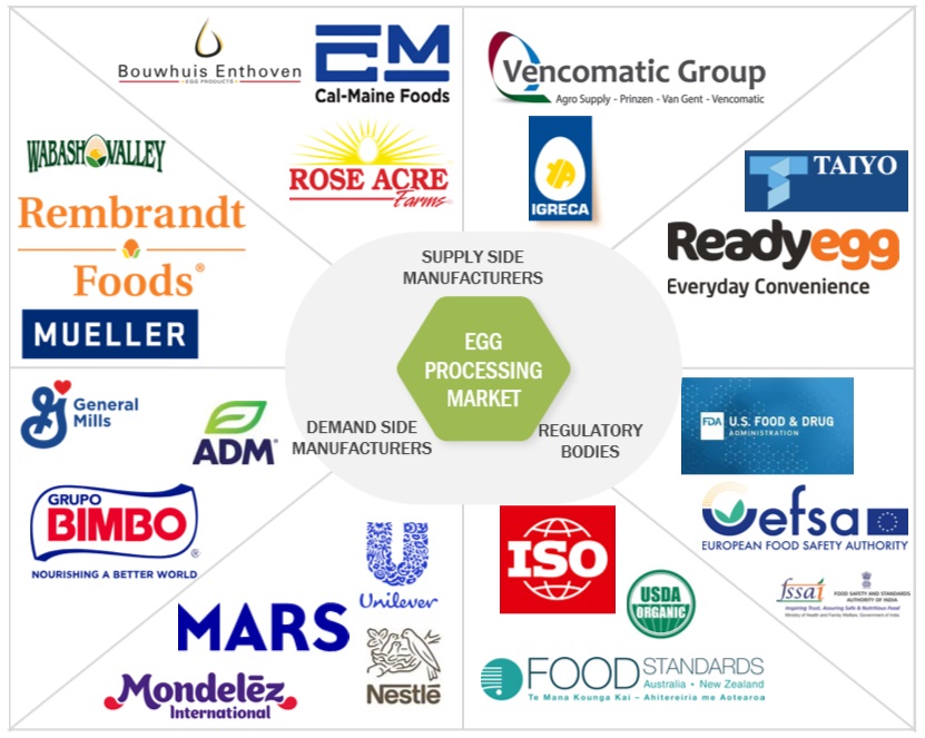 Egg Processing Market Size, Share, Trends, Industry Overview, and Regional Analysis