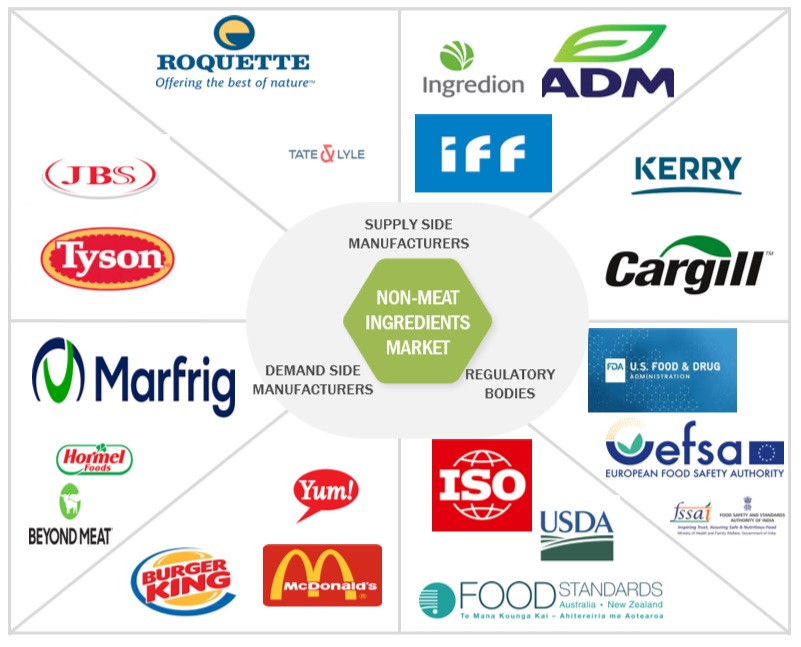 Non-Meat Ingredients Market Size, Global Outlook, Trends, and Forecast ...
