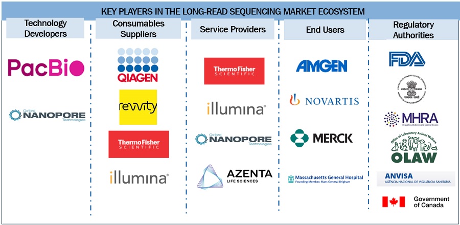 Long Read Sequencing Market Growth, Drivers, and Opportunities