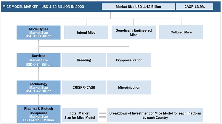 Mice Model Market Revenue Trends and Growth Drivers | MarketsandMarkets