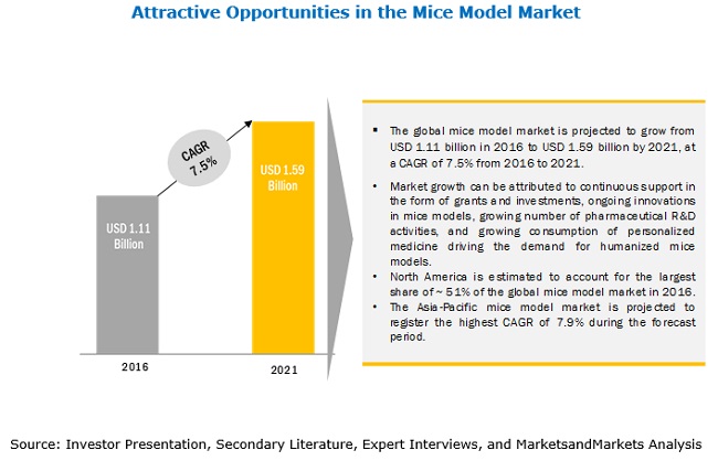 Mice Model Market by Type, Application & Geography | COVID-19 Impact ...