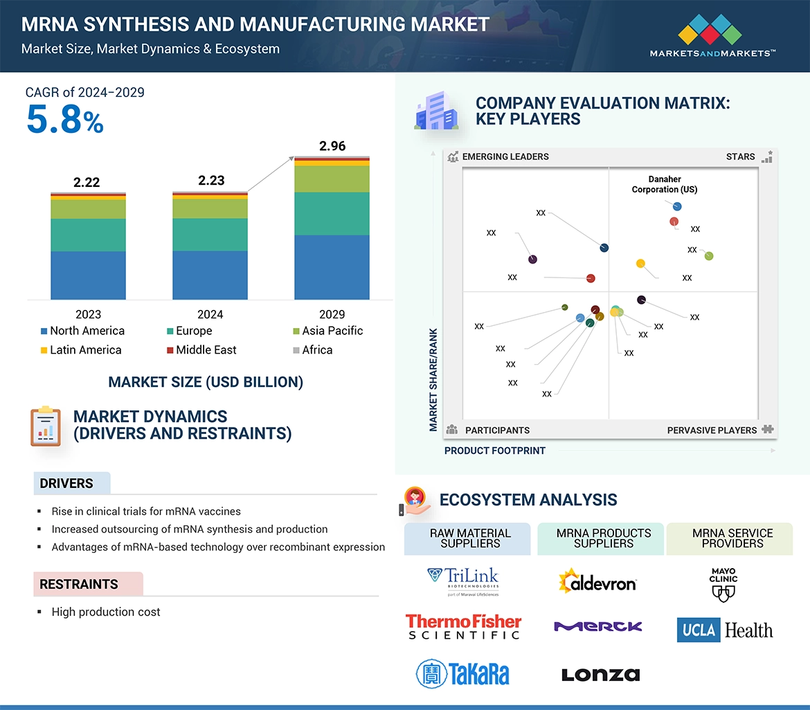 mRNA Synthesis & Manufacturing Market Growth, Drivers, and Opportunities