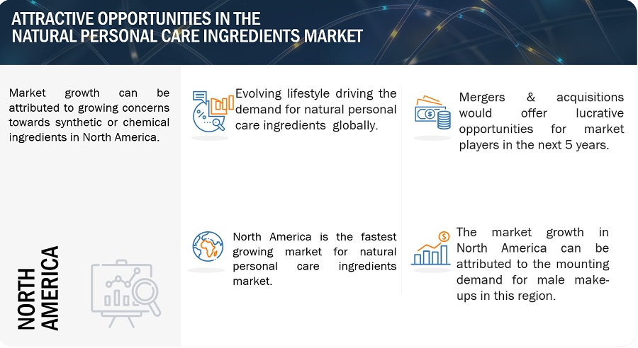Natural Personal Care Ingredients Market, Industry Size Growth Forecast ...