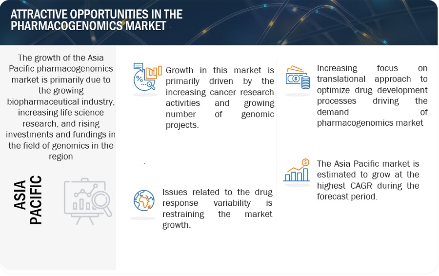Pharmacogenomics Market Growth, Drivers, and Opportunities