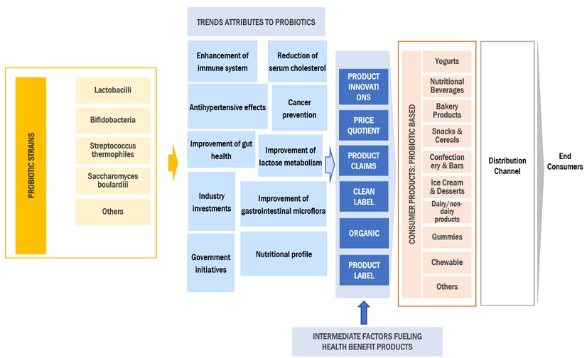 Probiotics Market Size, Share, Analysis, & Growth Trends Report [2024-2029]