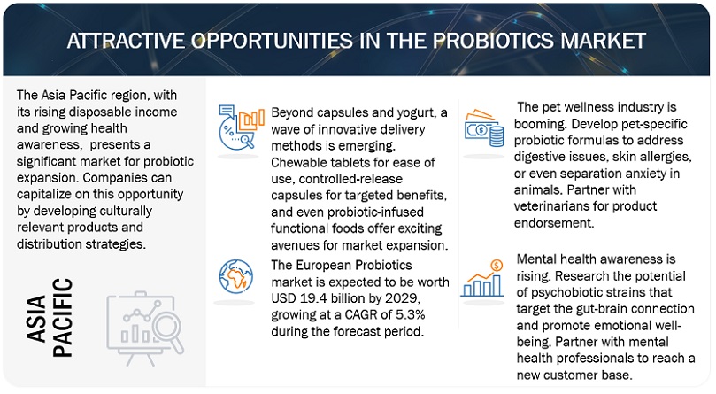 Probiotics Market Size, Share, Analysis, & Growth Trends Report [2024-2029]