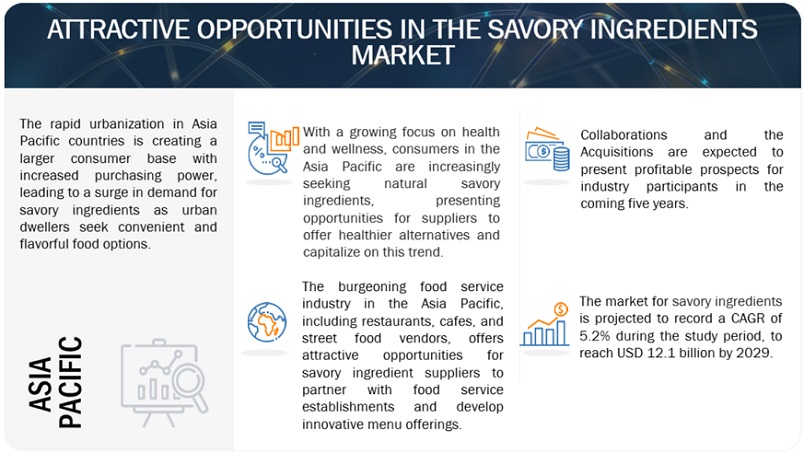 Savory Ingredients Market Industry Analysis | Types, Advantages, and ...